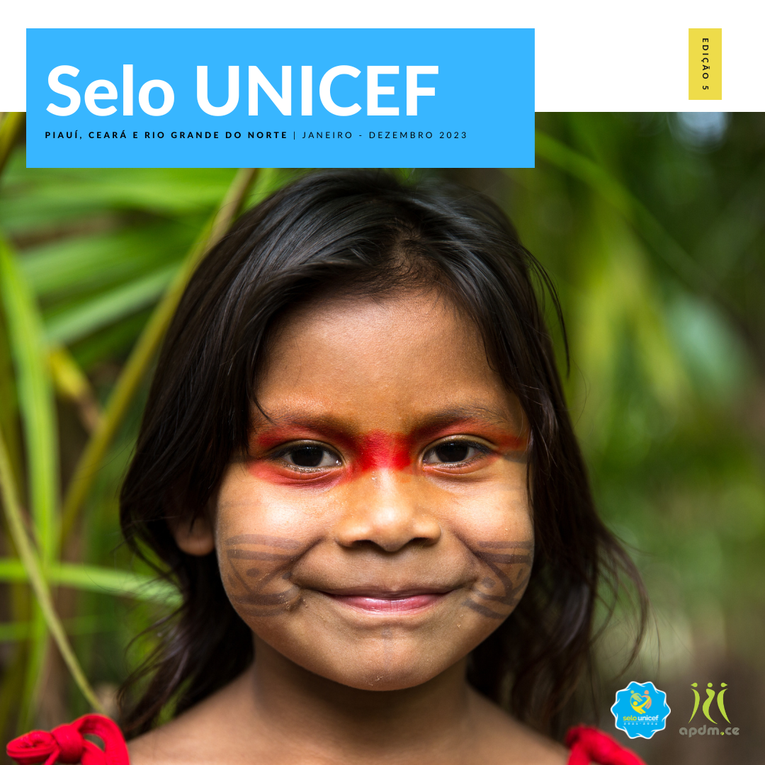 SELO UNICEF - APDMCE lança informativo com balanço sobre busca ativa ...